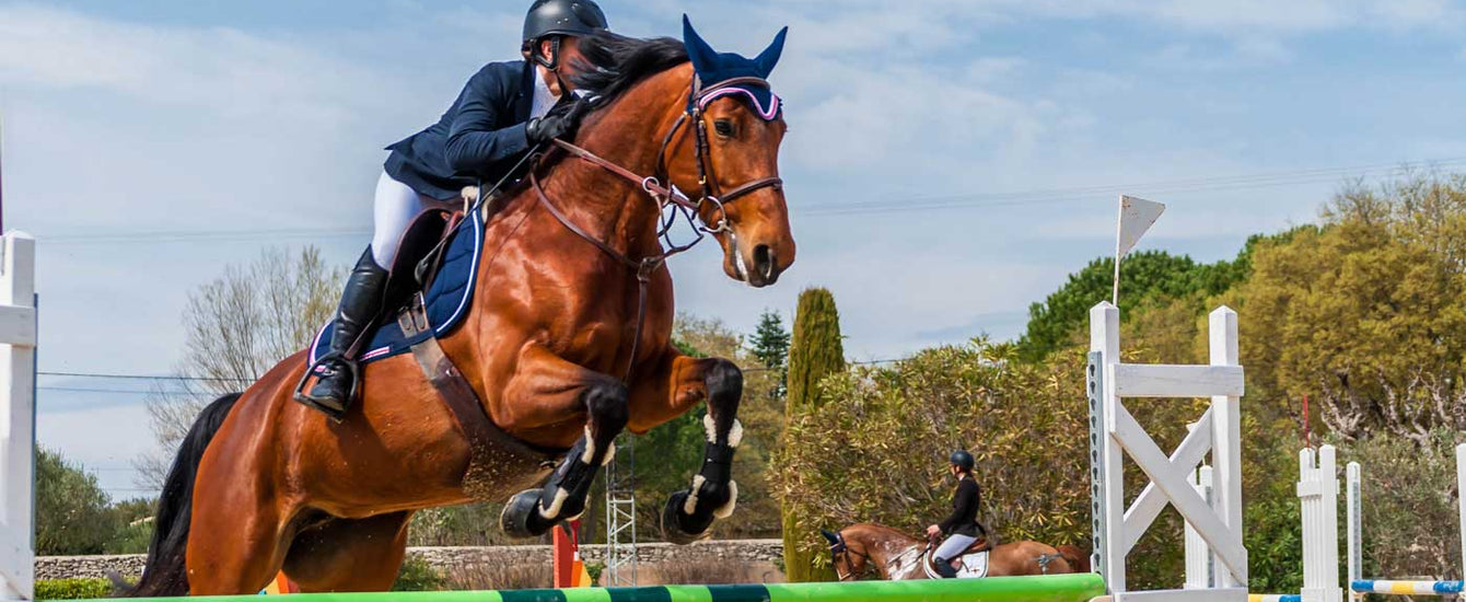 What You Need To Wear When Competing In Equestrian – equoware